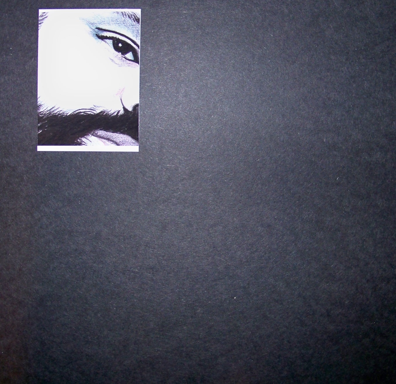 Hairyartist Art Update: September 2010