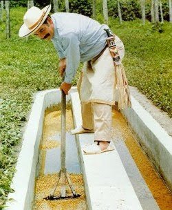 ..El mas delicioso cafe..: ..El lavado..