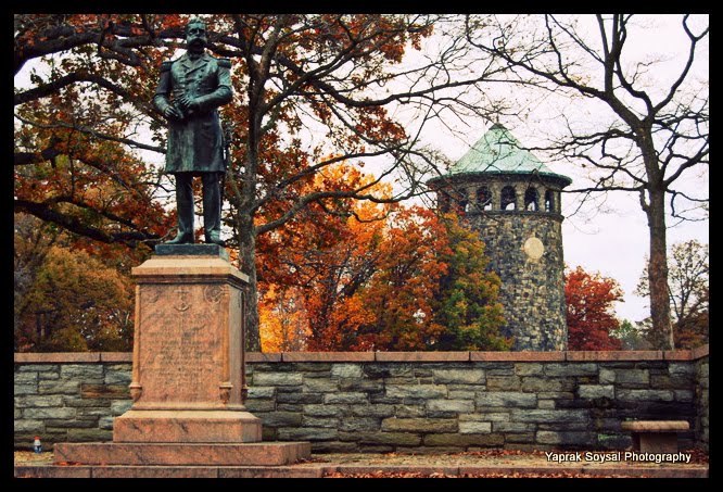 Yaprak Soysal Photography: Fall scenery around Wilmington - DE
