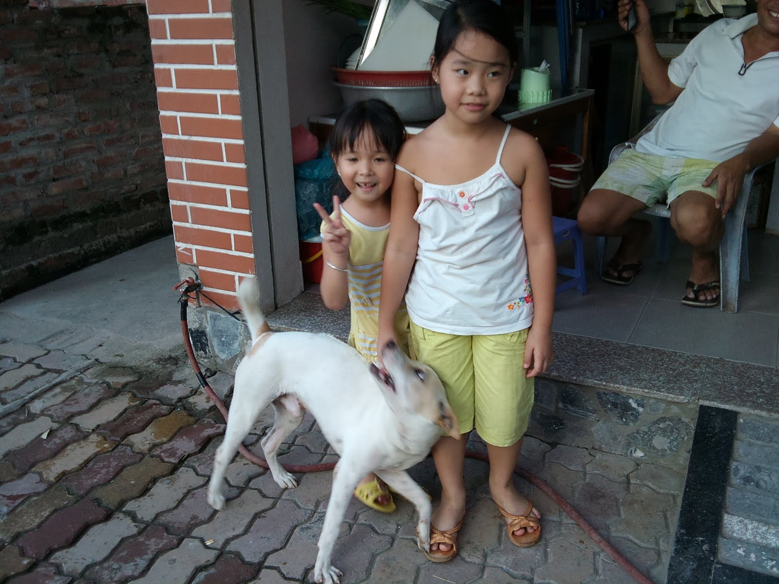 Flying China Man: Phu Quoc Dog