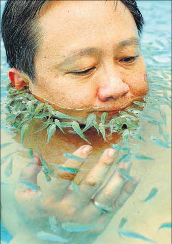 "Doctor Fish" Treatment "Ichthyotherapy" Photos Collection