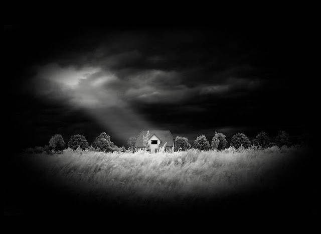 Amazing Things: BLACK Beauty Most Beautiful Color