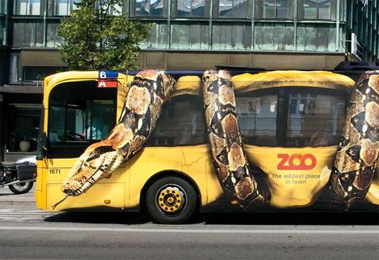 Amaze Pics & Vids: Amazing Zoo Buses - Photos...