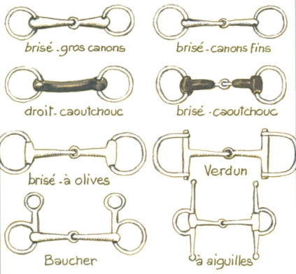 SPORT EQUESTRE LA THEORIE: mors de filet