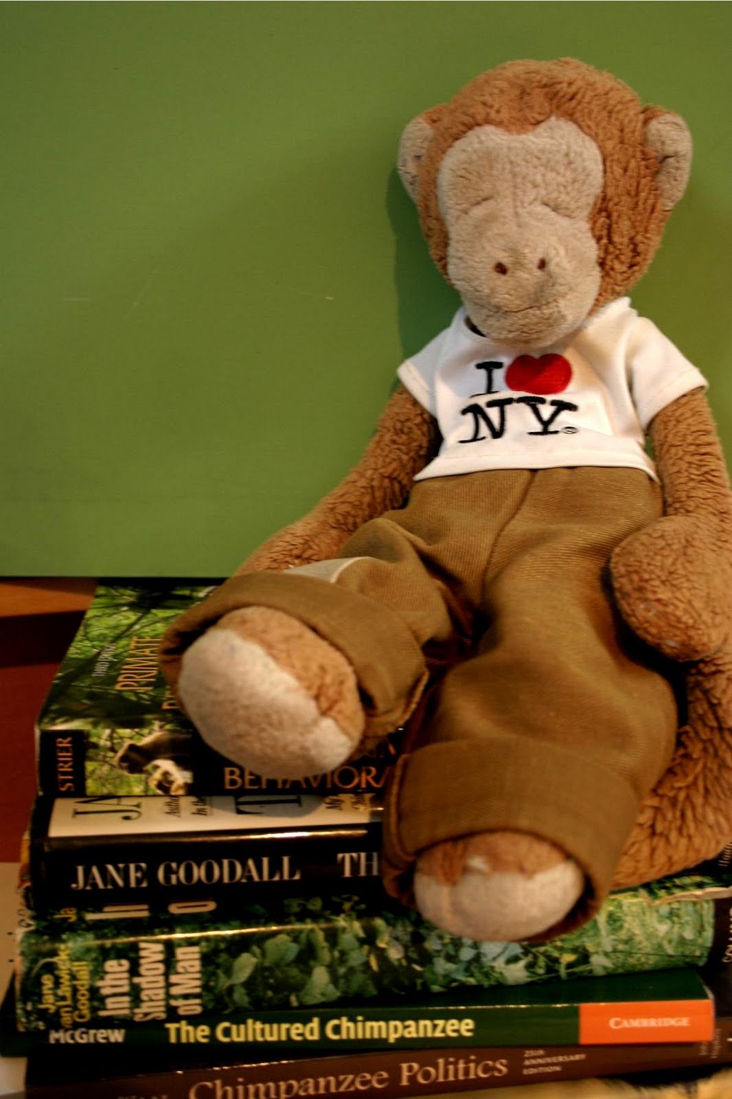 JOURNAL OF A CHIMPANZEE CHASER: When I grow up I want to be a ...