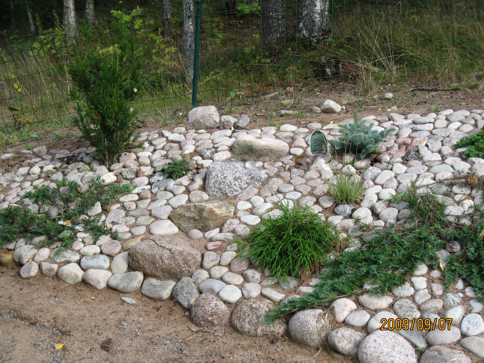 Pihapalvelu Verso: Kuvia ja ajatuksia omasta pihastamme.