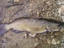 My Fishing Spot: Jordan River