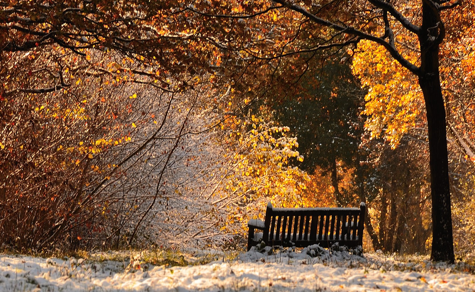 Without A Doubt Autumn Is The Best Season