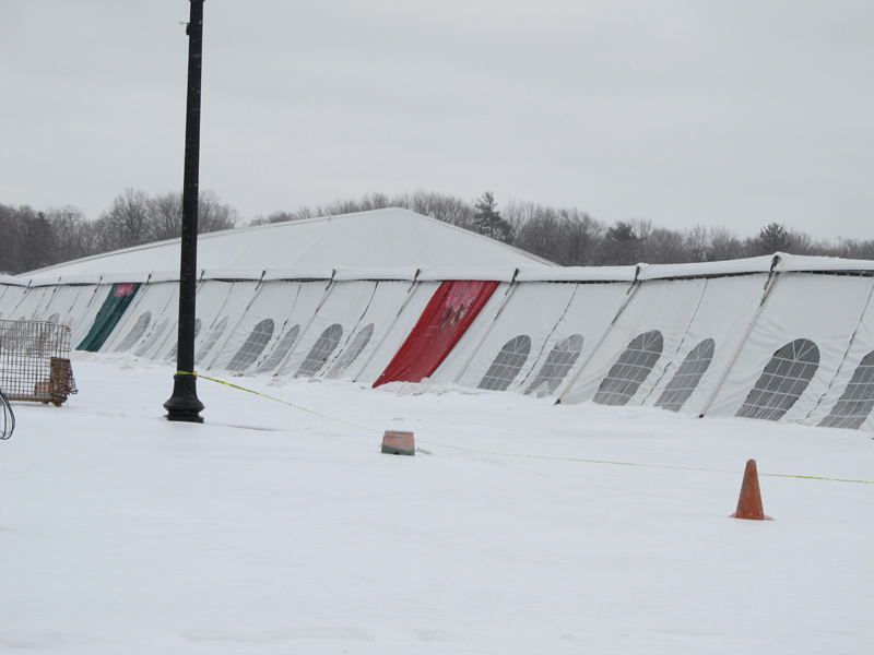 Inside Andrea's Mind: Snowpocalypse 2011 - A Report from Indiana