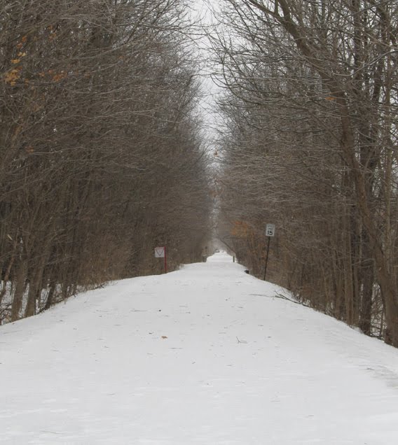 Inside Andrea's Mind: Snowpocalypse 2011 - A Report from Indiana