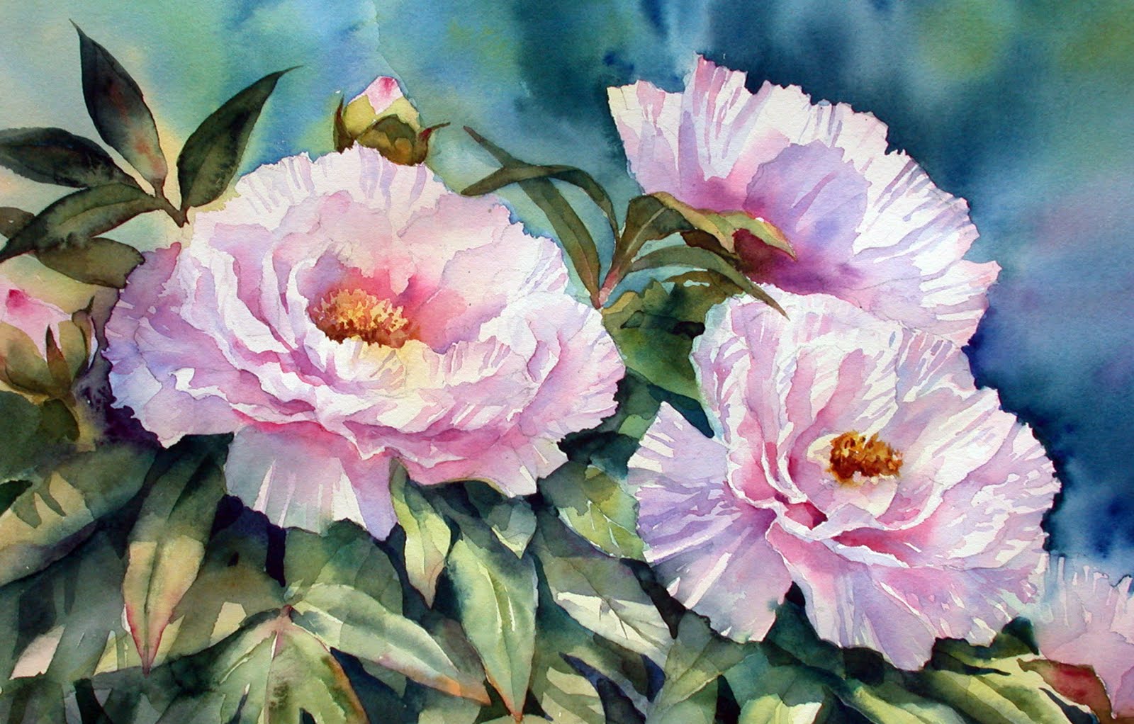 Tree Peonies