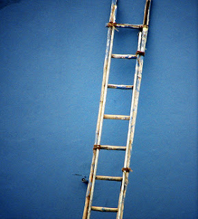 MissionBFit: What We Do Eat - Michi's ladder!