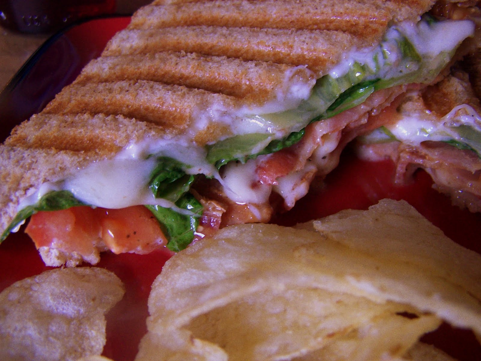 BLT w/Swiss Panini
