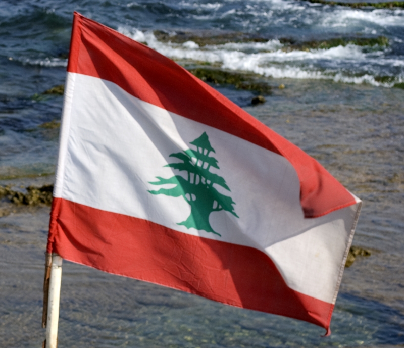 Vexillophilia: Flags and Flag Fun: January 2011