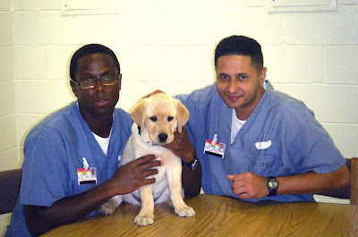 PRISON DOG PROGRAMS ~ BRIDGES and PATHWAYS of COURAGE: PRISON DOG ...