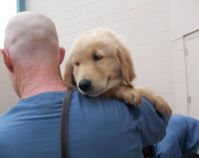 PRISON DOG PROGRAMS ~ BRIDGES and PATHWAYS of COURAGE: PRISON DOG ...