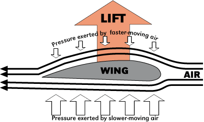 Principle Of Flight: Lift and Drag