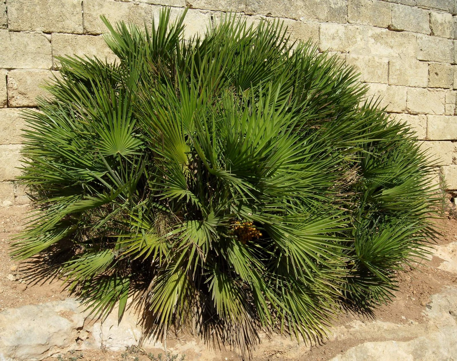 Archeogeoparco: Percorso naturalistico