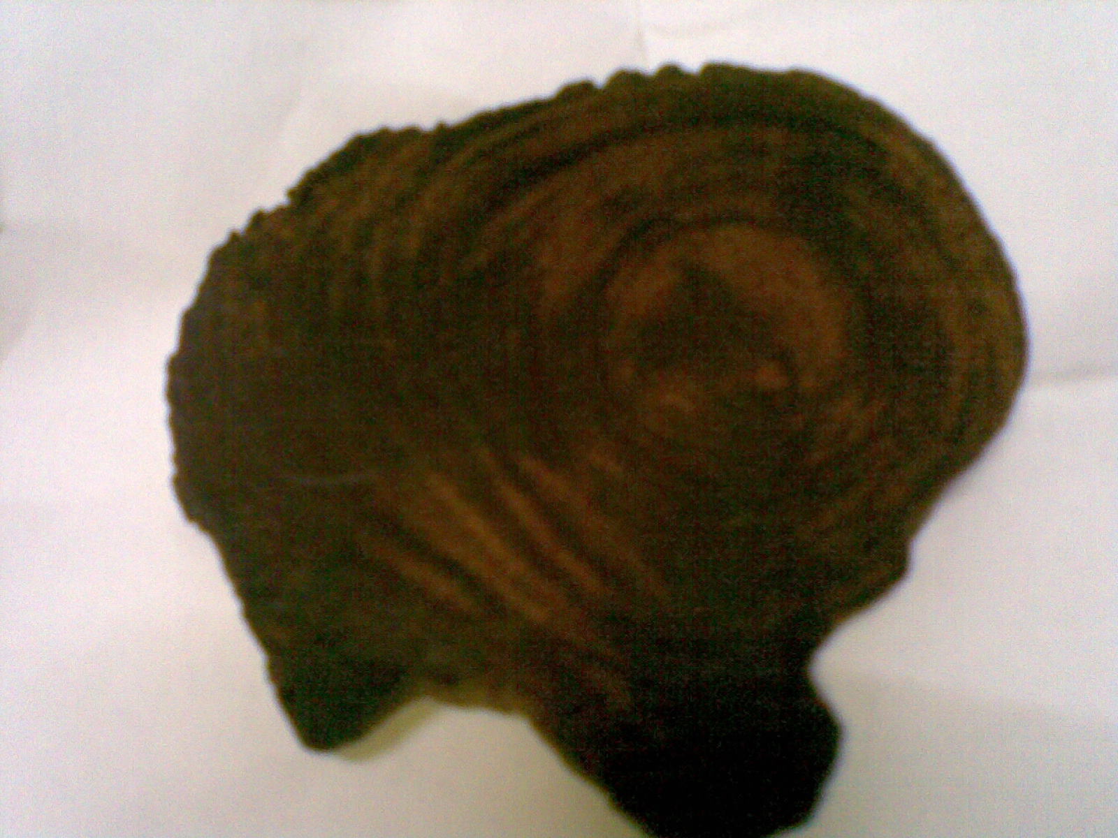 alammistik98: RAJA KAYU ASLI