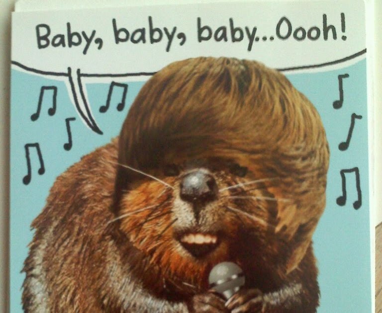 The Daily Bieber: Justin Beaver