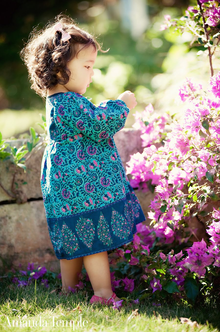 Bermuda Photographer - Amanda Temple: The Fonner Family