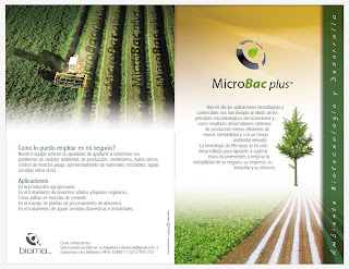 consultorambiental