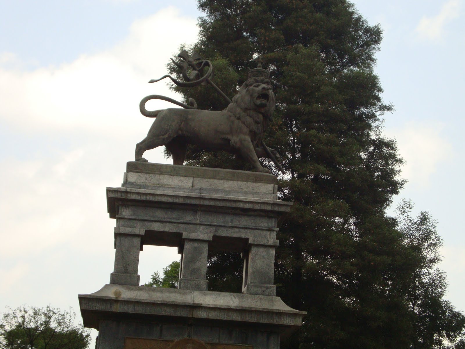 The Wanderer: The Lions...and more