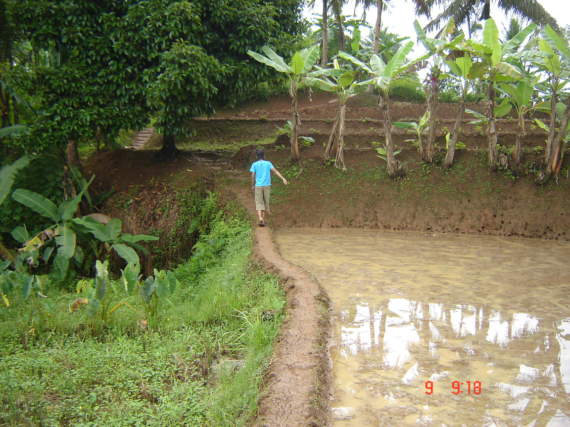 Wisata Desa Jelat