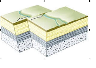 ♠GEOLOGIA Y PEDOLOGIA UDEC ♠: TECTONICA DE PLACAS Y GLOSARIO