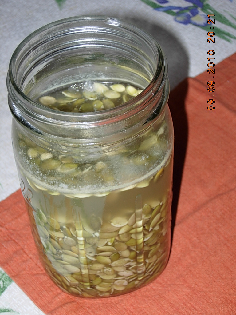 Fermenting in Utah: Pumpkin Seed Ferment