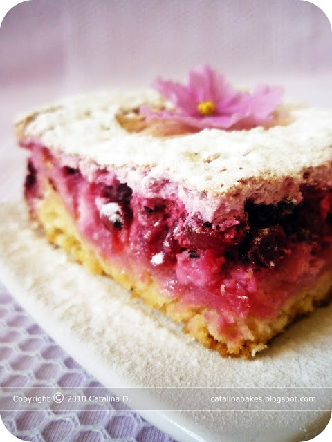 Catalina Bakes: Red Currant Sour Cream Tart