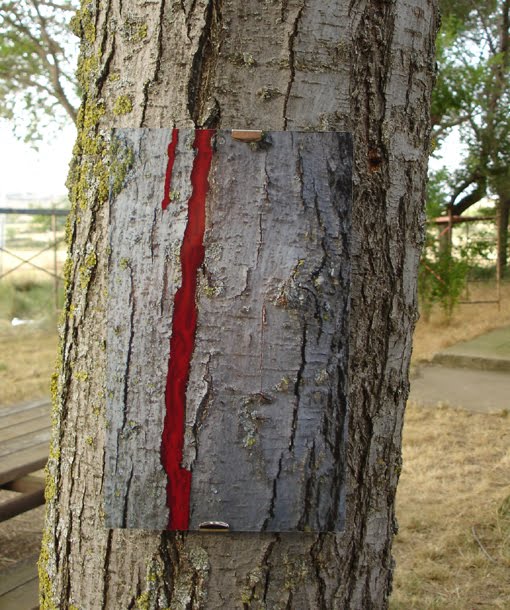 Blog Oficial de Bodo Rau, Artprojects: Arte en la Tierra: 5 Artistas ...