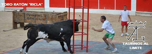 TAURINOS AL LIMITE: Toro Ratón Ricla