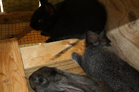 Modern Day Redneck: Finally Made It