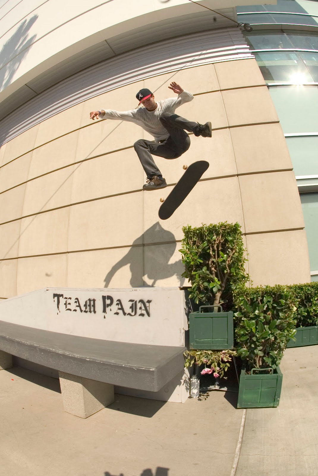 skaters del mundo: andrew reynolds