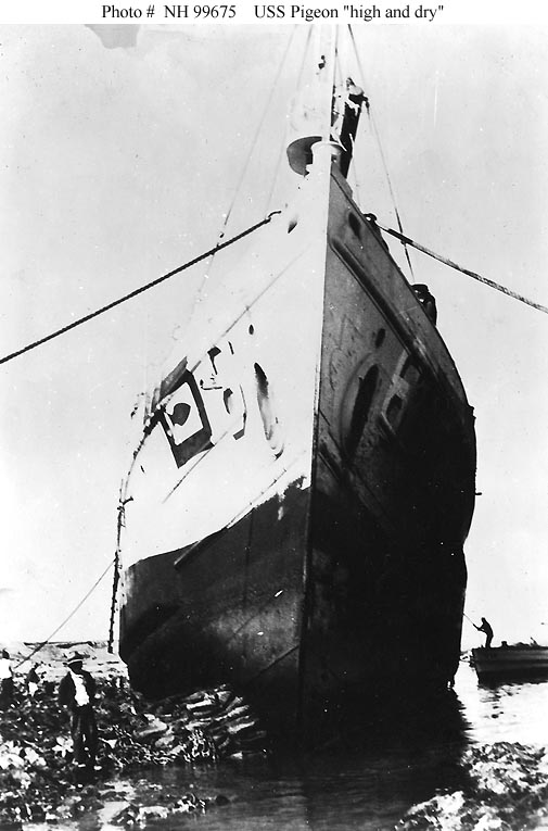 Naval Warfare: USS Pigeon (Minesweeper No. 47, AM-47, ASR-6)