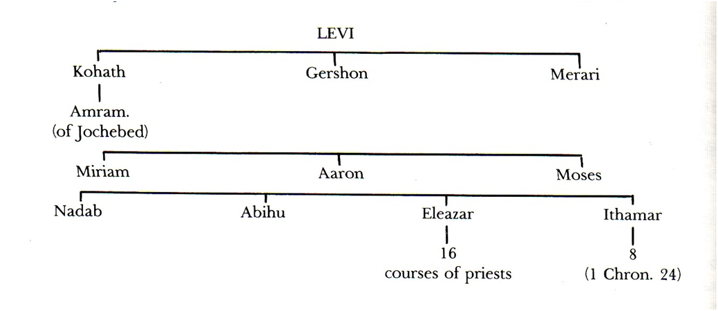 The Way: Reading 33 – Moses’ Big Entrance