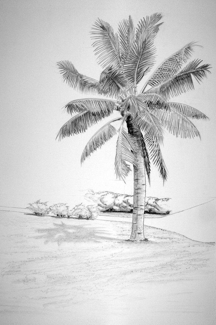 BYUH Drawing: Landscape Drawing - Semi Final