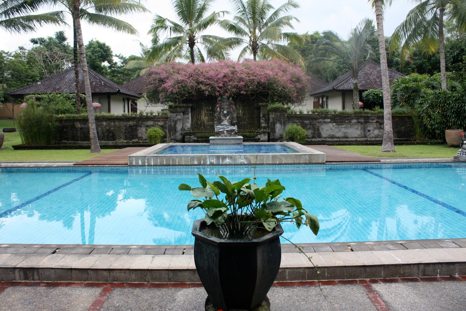 Long Gone in Hong Kong: Welcome to Ubud