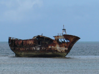 Reading the Maps: January 2010