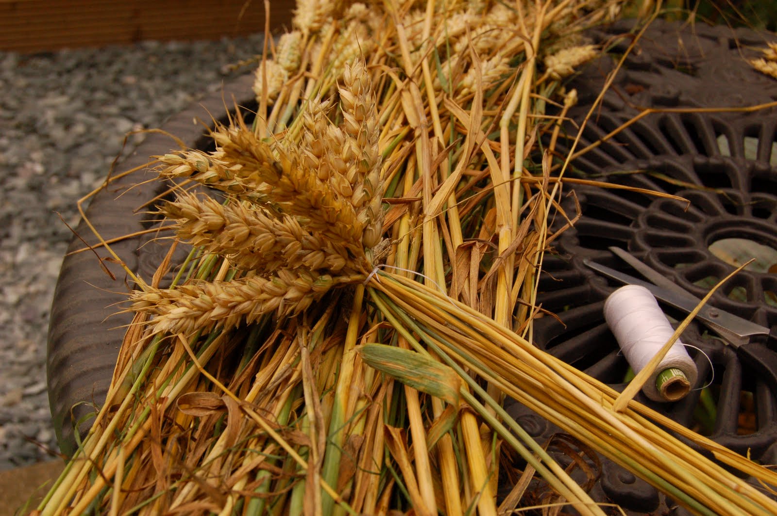 Auntie Anne's extremely useful stuff: How to make a corn dolly
