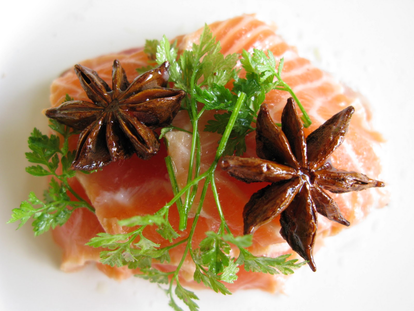 The Food Vine: cured salmon with star anise and white burgundy