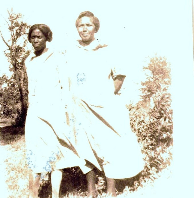 Winstead Family Blog