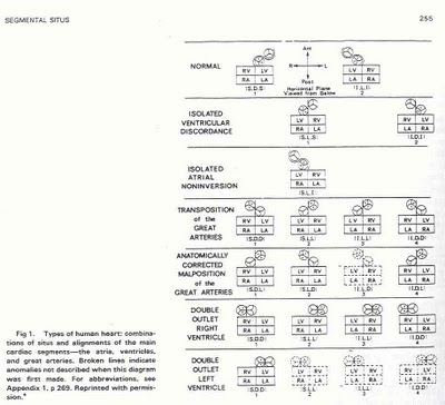 Pedi cardiology: Anatomy: Terminology: Van Praagh's segmental formula
