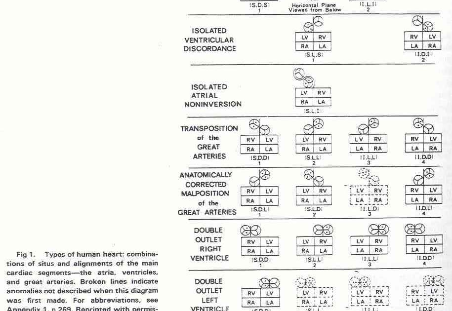 Pedi cardiology: Anatomy: Terminology: Van Praagh's segmental formula