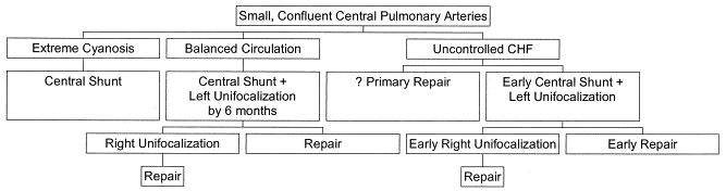 Pedi cardiology: Surgery: Pulmonary atresia - VSD, MAPCAs, Unifocalization