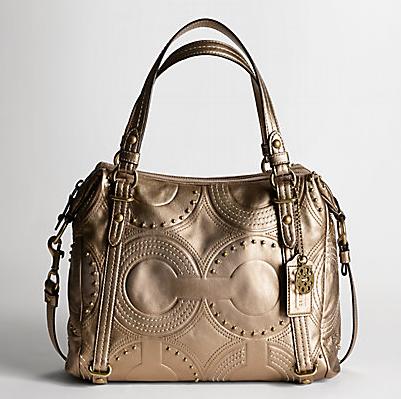 Fashion Handbags Blog: The coach bags are extraordinary