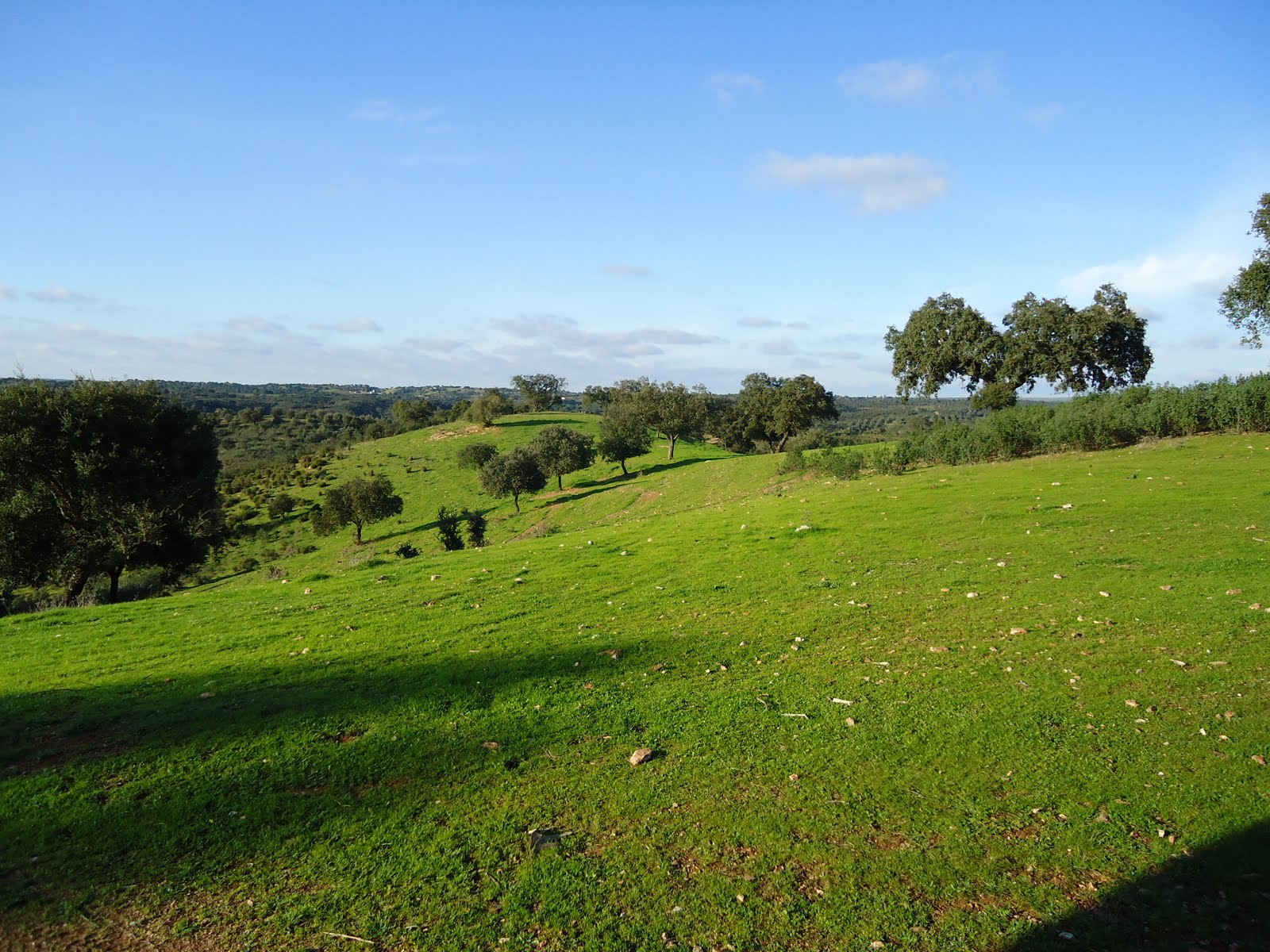 Serpense: Serra de Serpa - Janeiro de 2011