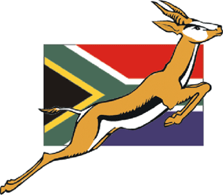 Under African Skies: Go Bokke!