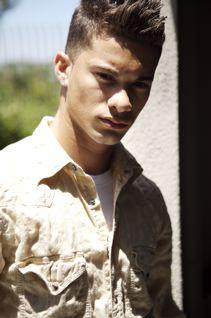 Henshin Grid: Power Ranger Boy: Hector David Jr.